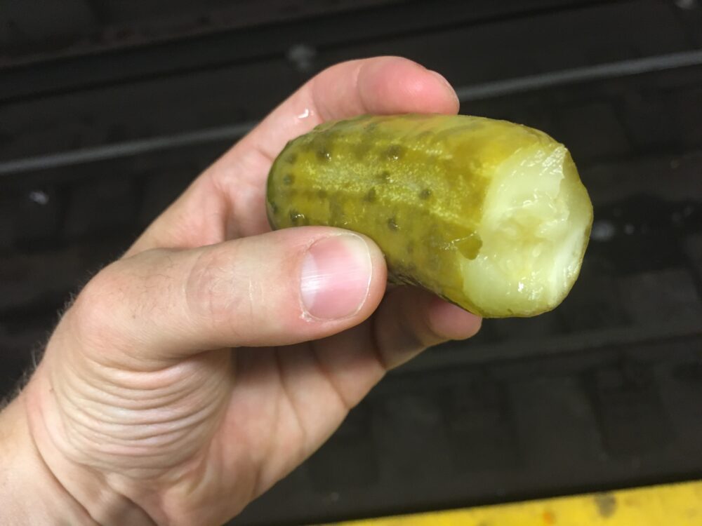 PICKLE REVIEW in New York: Guss’ Pickles – Eat This NY